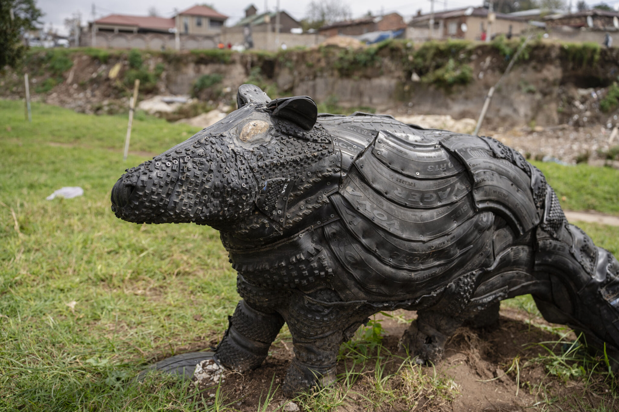 Bid to save polluted Joburg river